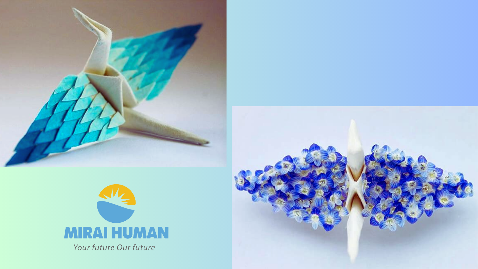 Tuyệt phẩm 1000 con hạc qua nghệ thuật gấp giấy Origami