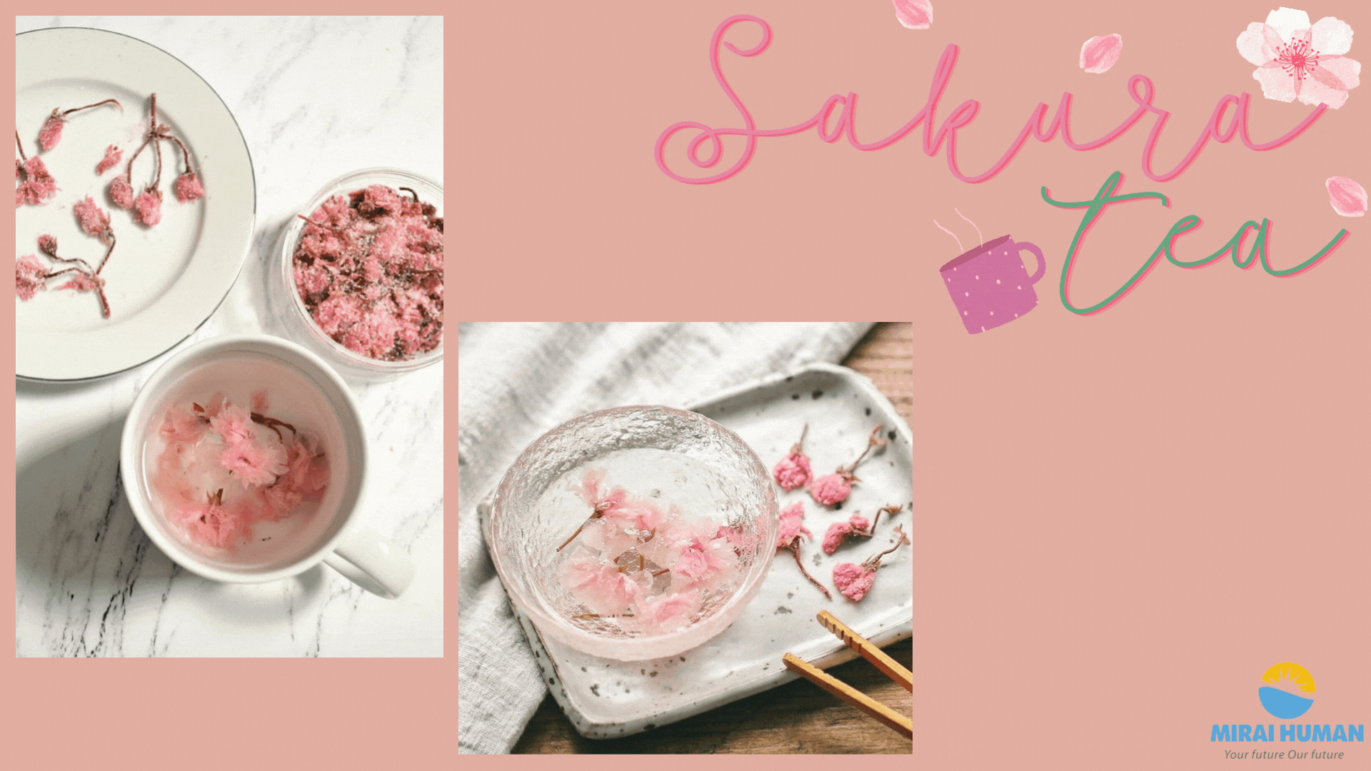 Top 7 thức uống từ hoa anh đào Nhật Bản