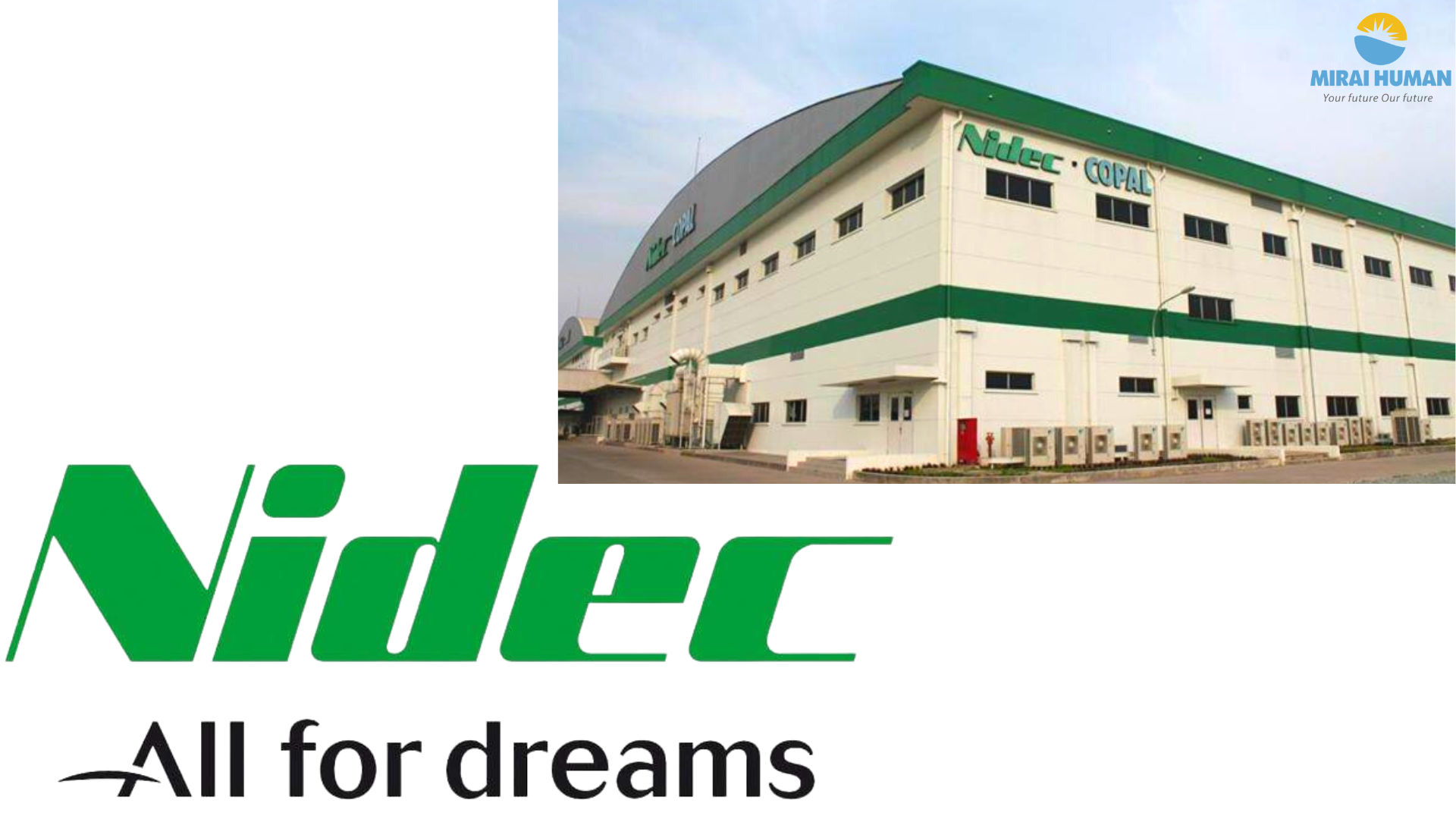 Tổng hợp các công ty Nhật Bản tại khu vực Thành phố Hồ Chí Minh (Phần 1)