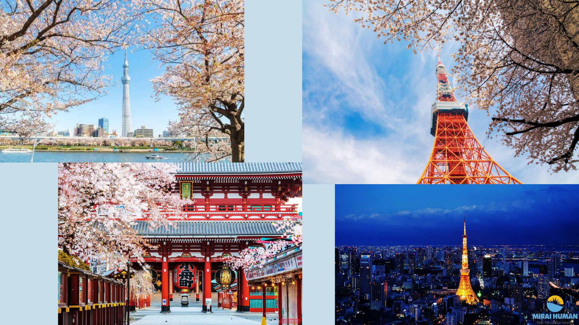 Những hoạt động - điểm đến đầu năm nên trải nghiệm tại Nhật Bản