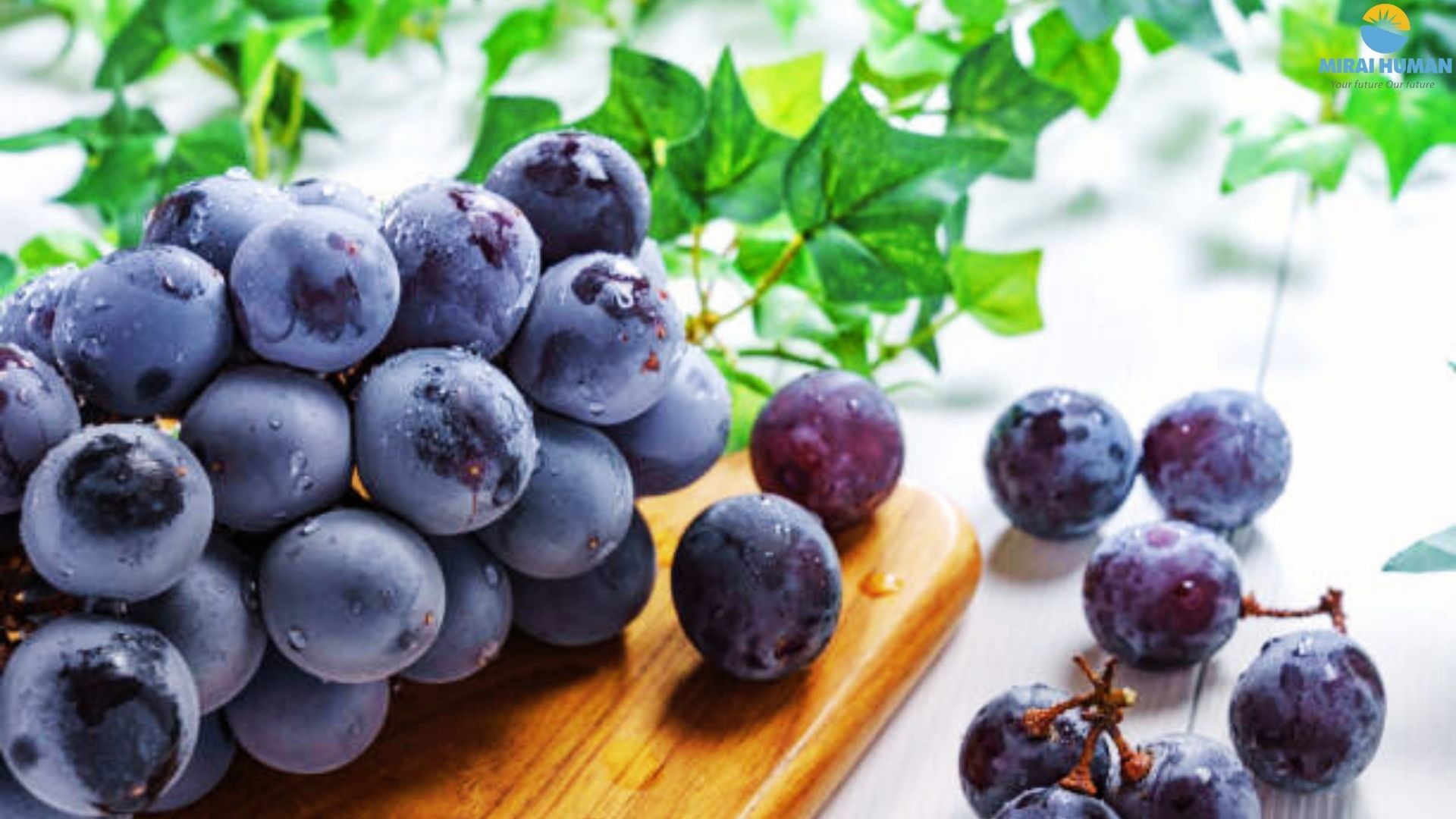 Nhật Bản tháng 9 ăn gì?