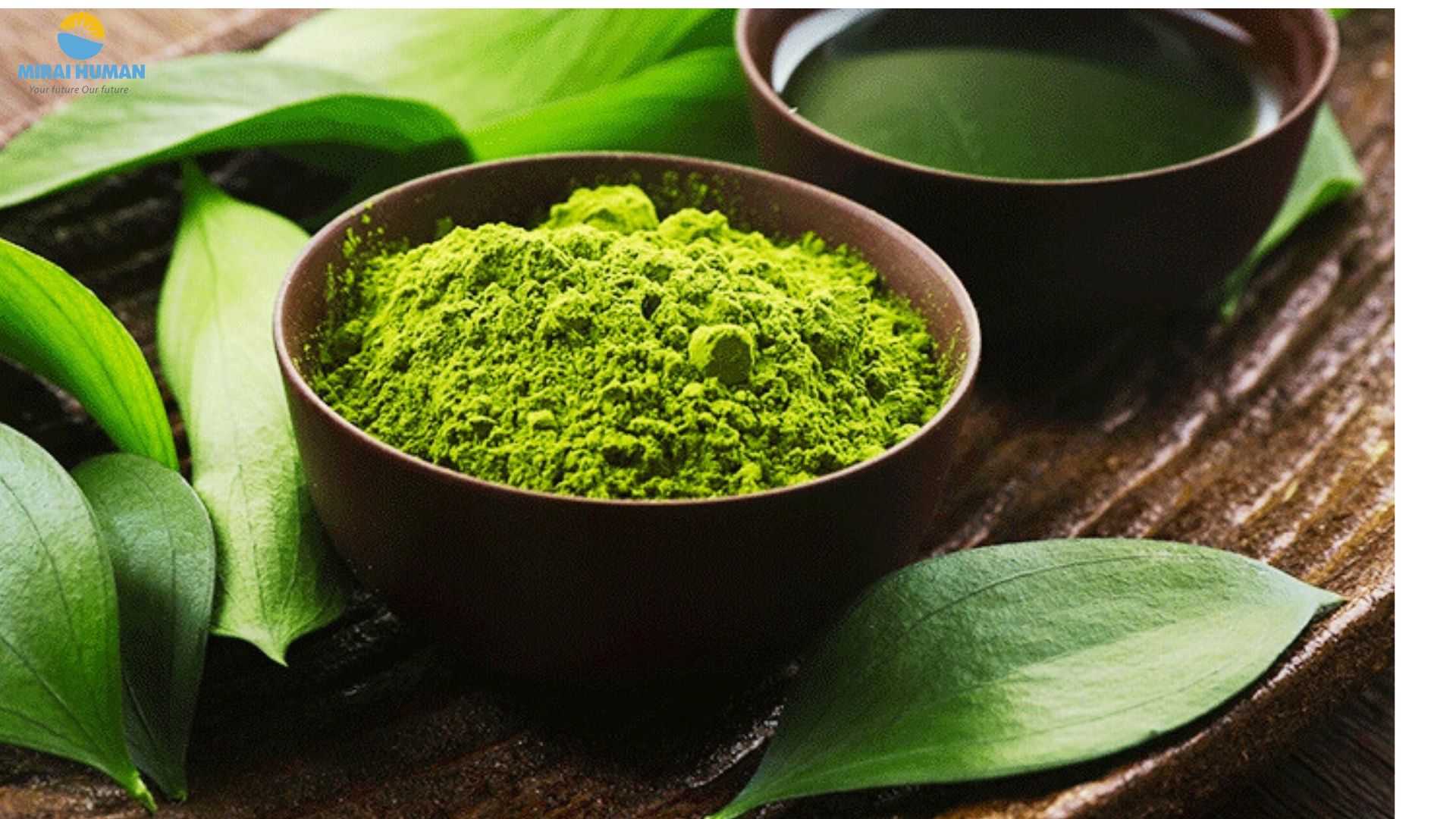 (Phần 1) Matcha Nhật Bản - Những điều thú vị có thể bạn chưa biết!