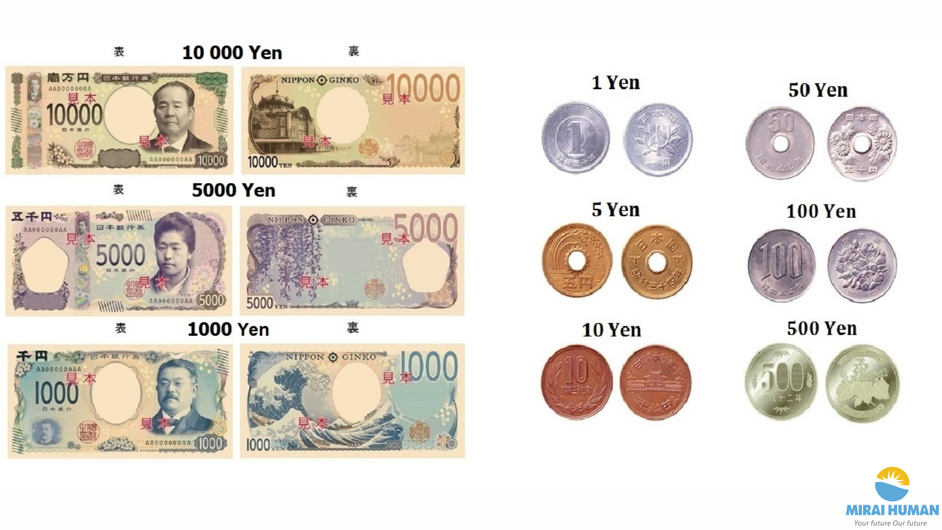 Tìm hiểu đồng Yên của Nhật Bản